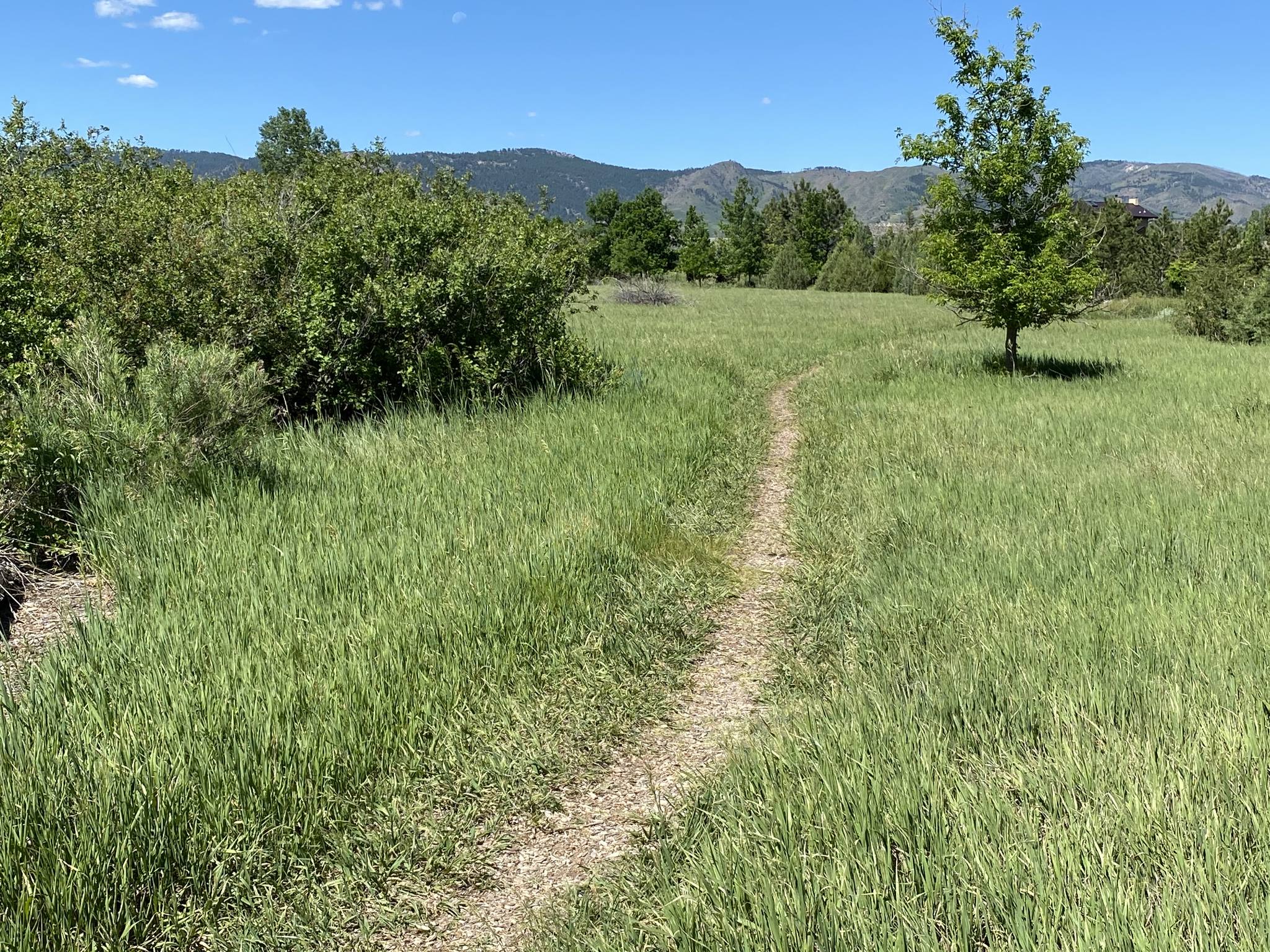 Blog – Katharine Gregory